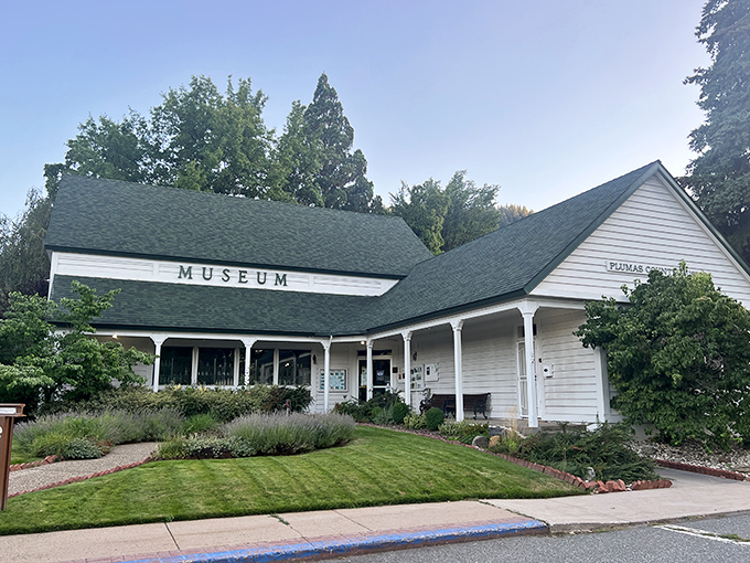 The Plumas County Museum doesn't just preserve history; it wears it proudly like your grandpa's favorite cardigan—comfortable, slightly weathered, and full of stories.