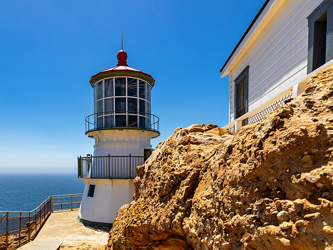 Point Reyes Lighthouse stands guard over the Pacific—a retirement sentinel that's been working longer than most of us.