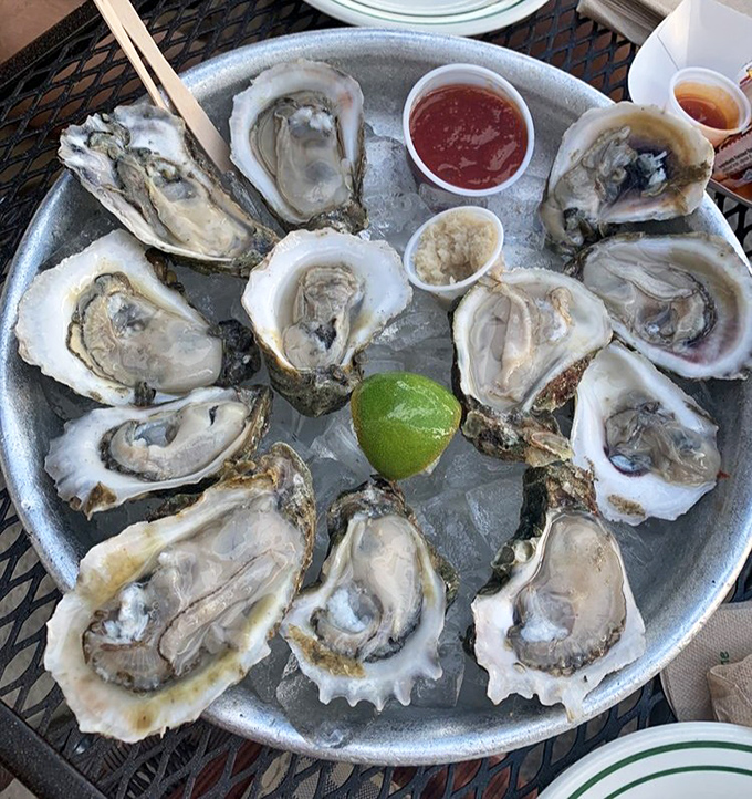 Oysters arranged like a clock of deliciousness, where it's always time for something fresh from the sea. Just add a squeeze of lime!