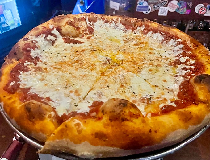 Pizza perfection doesn't discriminate—Triangle Tavern's red pie proves that simple ingredients create the most profound pleasures.