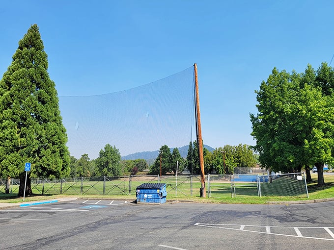 Baseball backstops that have witnessed generations of "almost home runs." The mountains frame childhood memories still in the making.