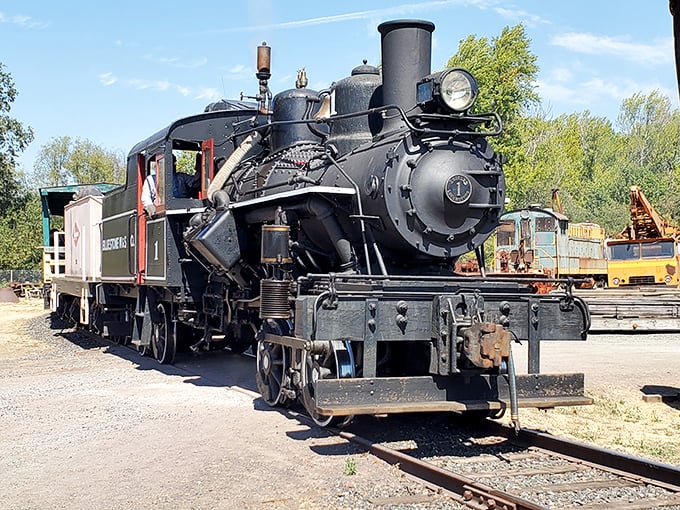 At Roots of Motive Power, vintage steam engines aren't museum pieces behind glass—they're living, breathing industrial dinosaurs still showing off.