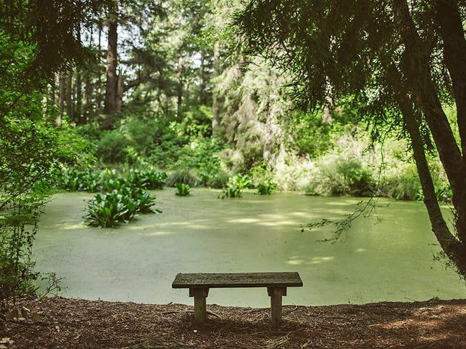 Nature's meditation room—Russ Park's tranquil pond invites visitors to sit awhile and forget they ever owned a smartphone.