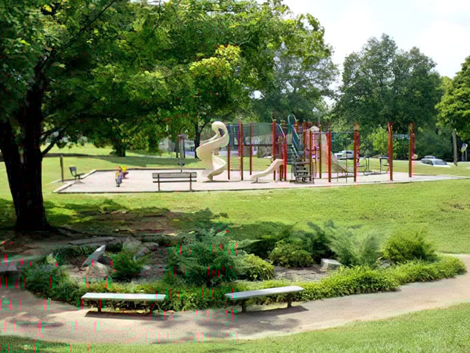 Sandy Springs Park doesn't just offer playground equipment; it provides the backdrop for childhood memories that will outlast those plastic slides by decades.