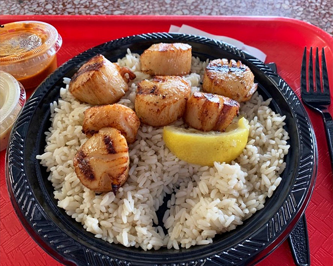 Scallops that look like they were harvested this morning, resting on a bed of rice like royalty. That char marks the difference between good seafood and "where has this been all my life?"