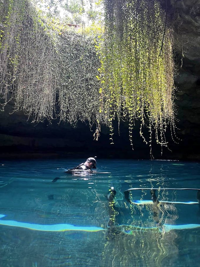 Snorkeling beneath cascading vines and filtered sunlight feels like swimming through a scene from "Avatar"—Florida's version of Pandora.