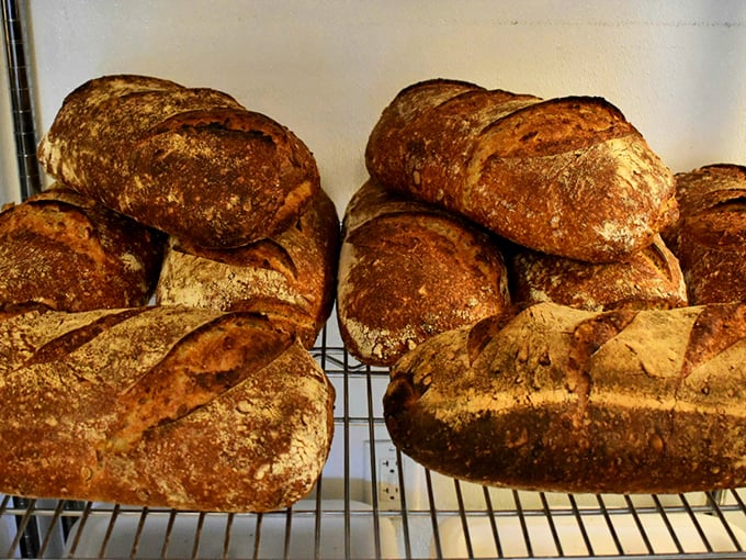 These crusty beauties could star in their own bread documentary – artisanal loaves that mean serious business.