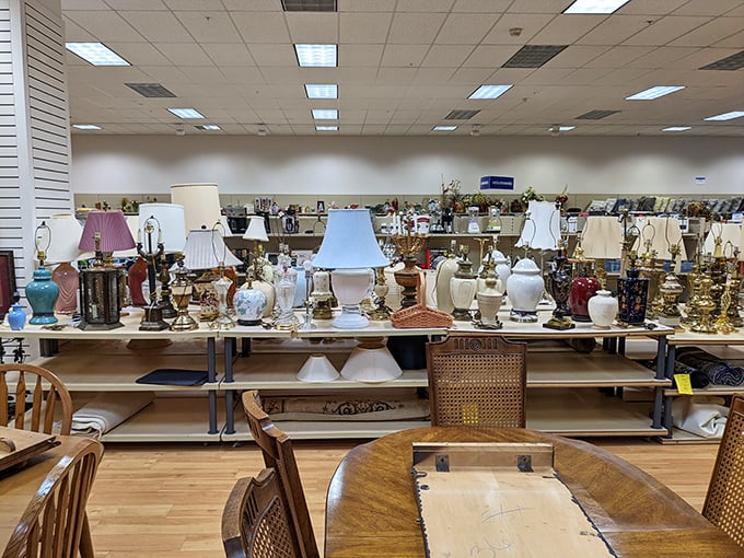 Couches of every pattern and personality line up like eager contestants on a furniture dating show, hoping you'll swipe right.