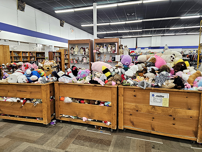 Stuffed animal nirvana! These wooden bins overflow with plush companions seeking second homes—each with a story and only slightly loved.