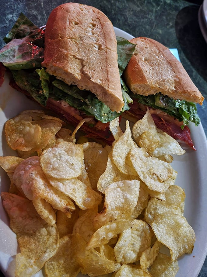 The sandwich arrives like a hero in bread clothing, accompanied by a supporting cast of crispy chips. This is lunch that demands both hands and your full attention.