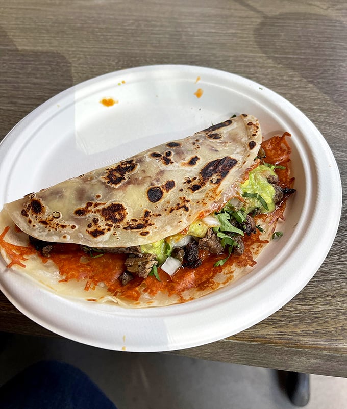 Fresh tortillas are the foundation upon which taco dreams are built daily.