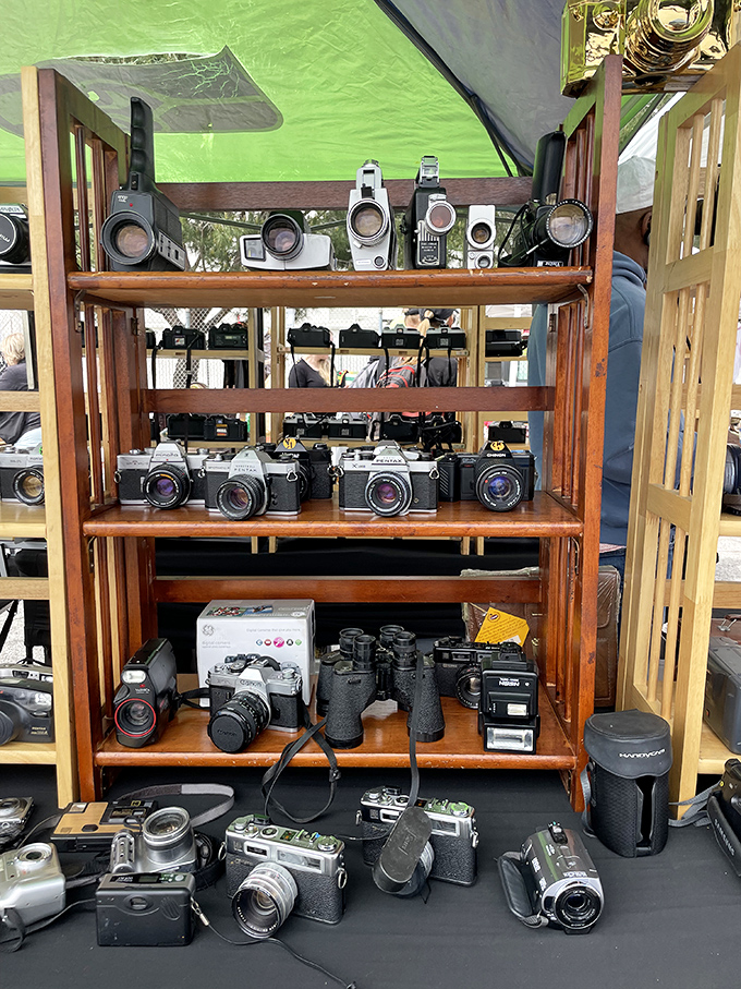 Vintage cameras line up like mechanical paparazzi, ready to capture memories instead of creating scandals.