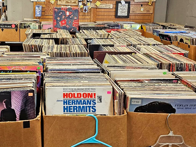 Crate-digging heaven for music lovers. Each cardboard box holds potential sonic revelations—from Herman's Hermits to hidden gems.