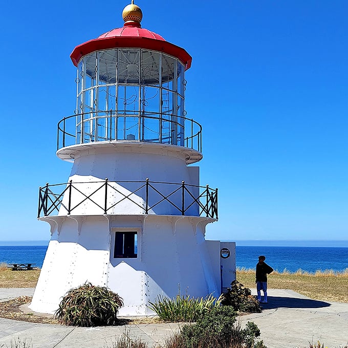"How tall? How old? Did anyone ever live here?" Visitors can't help but pepper lighthouse volunteers with questions at this magnetic attraction.