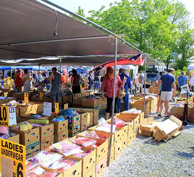 Weekend warriors navigate the bargain battlefield, where cardboard boxes hold mysteries and every table promises the unexpected.