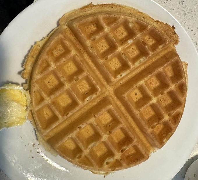 This waffle isn't just perfectly golden—it's sporting a grid pattern more precise than most city planning commissions.