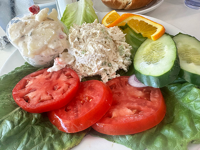 A salad plate that proves vegetables can be more than just a guilt-driven obligation. That tuna salad has clearly been introduced to proper seasoning. 