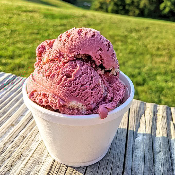Strawberry ice cream that actually tastes like strawberries—a revolutionary concept in a world of artificial flavoring. Picnic table optional, but recommended.