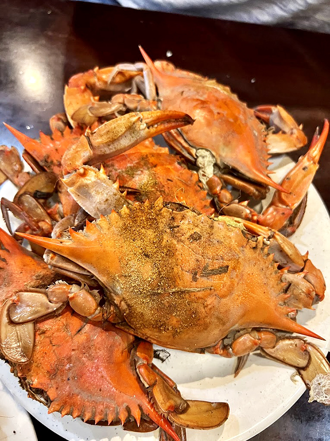 Blue crabs seasoned with Old Bay? In Maryland, that's not just dinner – it's practically a religious experience requiring both patience and dedication.