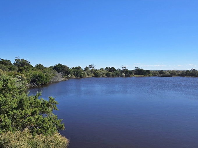 Serenity in blue. This tranquil lake view is nature's answer to meditation apps—no subscription required, just bring your own quiet thoughts.