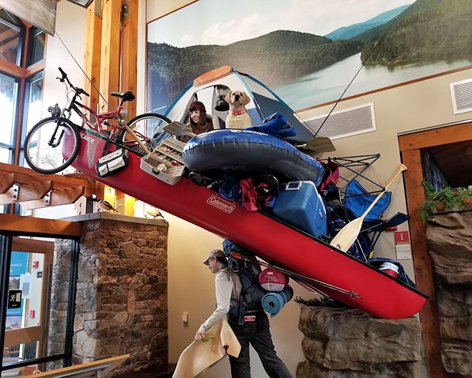 The visitor center's playful display captures the spirit of outdoor adventure—canoe and all—bringing the outside world indoors.