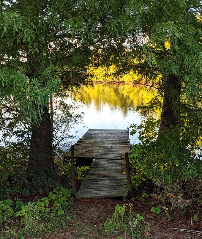 This weathered dock whispers stories of sunset fishermen and early morning contemplations. Your office view could never compete.