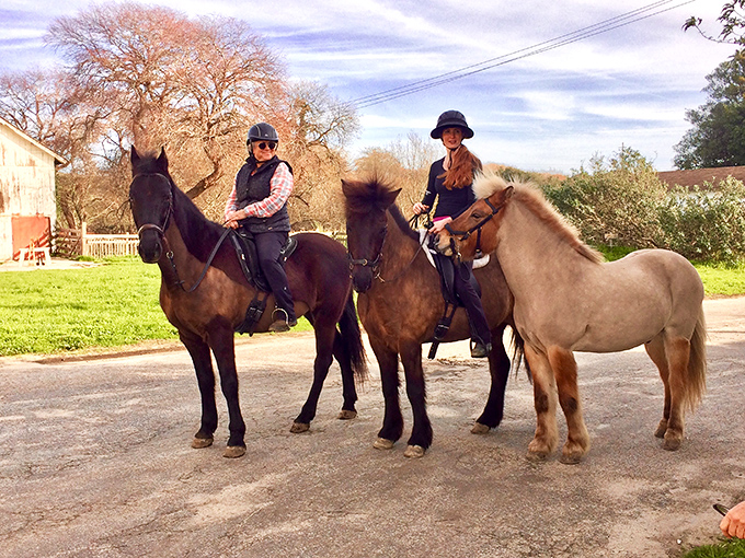 Horseback riding at Wilder Ranch—because sometimes the best way to explore 19th-century farmland is with 19th-century transportation.