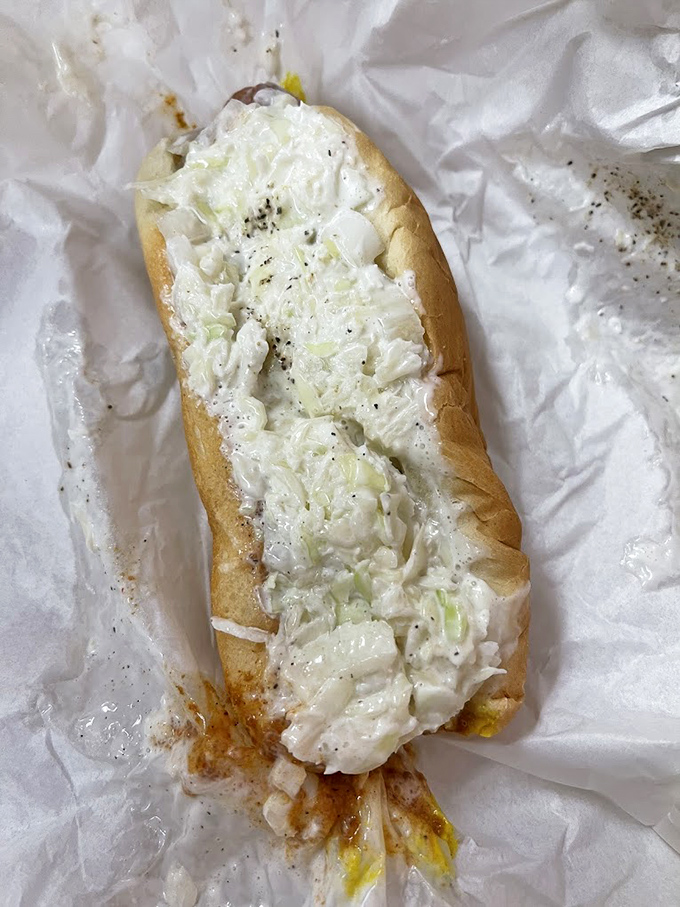 The hot dog "all the way" – a masterclass in how slaw, mustard, and chili can transform a simple frank into something transcendent.
