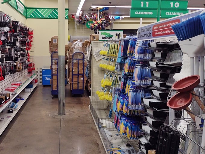Cleaning supply heaven! Like a well-organized arsenal for the eternal war against household grime, all at prices that won't soil your budget.