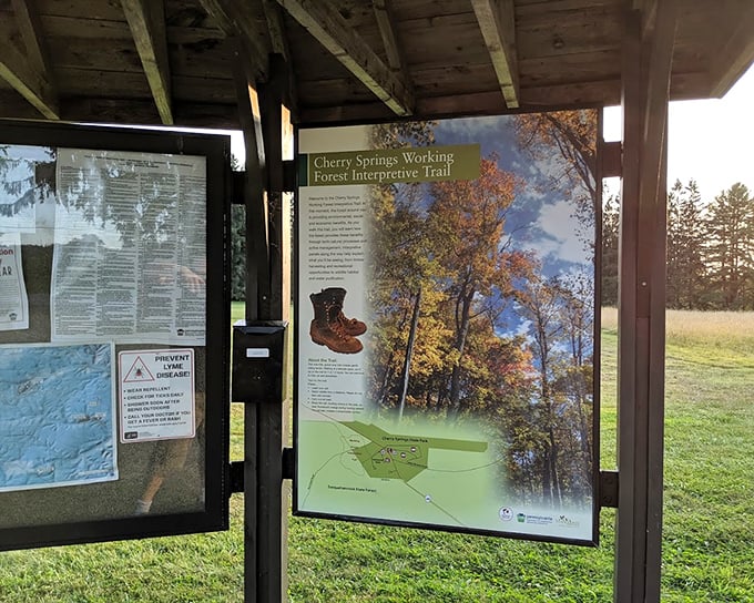 The park's information board – your celestial tour guide before the real show begins. Knowledge makes the stars shine brighter.