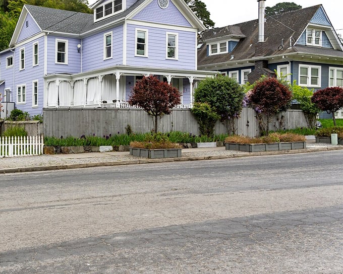 Victorian charm meets coastal living in these colorful homes. The white picket fences aren't keeping anyone out – they're just part of the aesthetic.