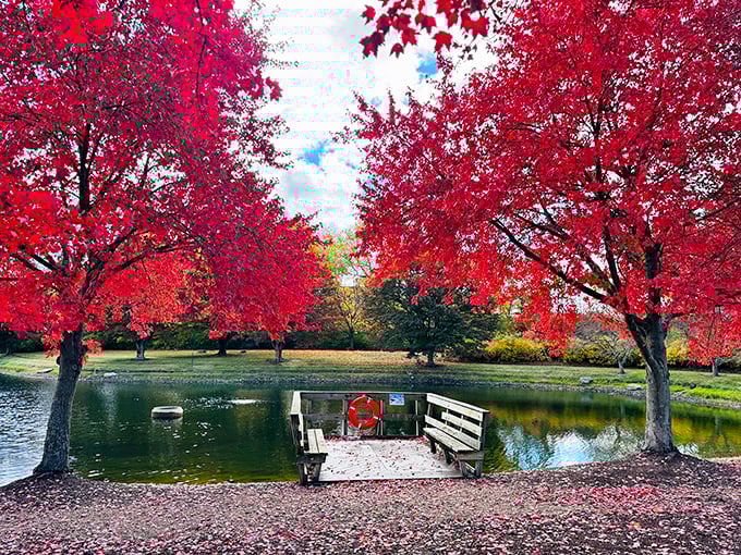 Just a short drive from the Field of Corn, Dublin offers peaceful spots like this autumn-kissed pond—the perfect complement to quirky art exploration.