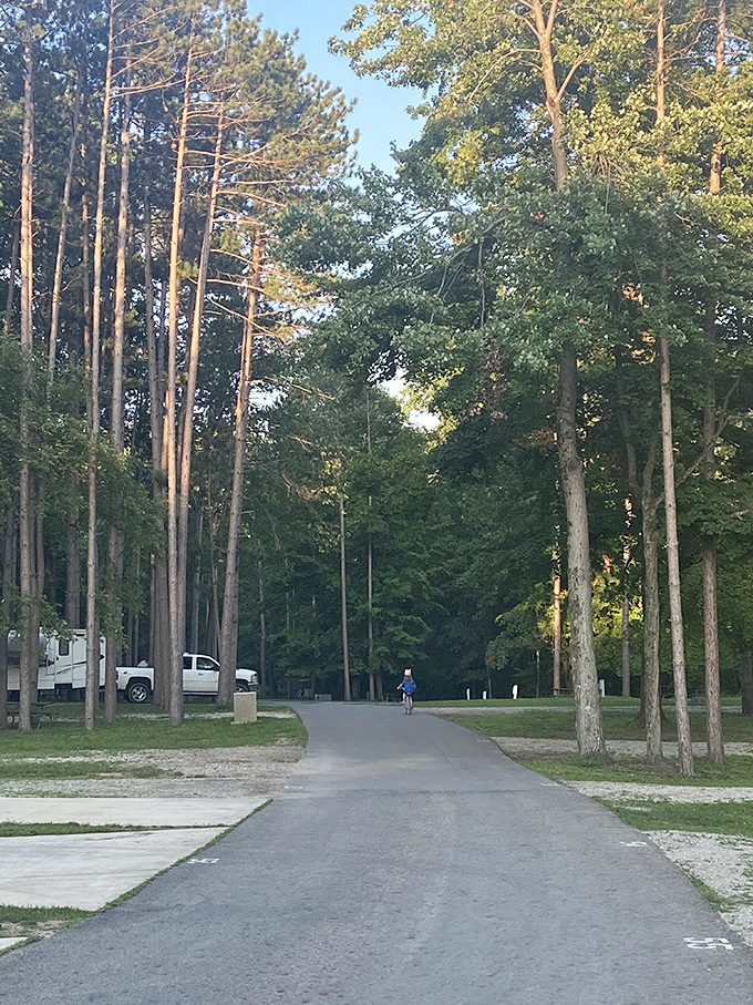 The campground road winds through towering pines like a scene from a nostalgic summer camp movie—minus the teenage drama.