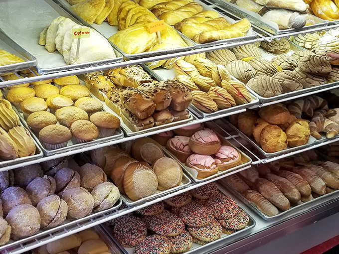 The pastry case at La Mejor resembles an artist's palette – each section offering a different color, texture, and flavor experience. Decision paralysis has never been sweeter.
