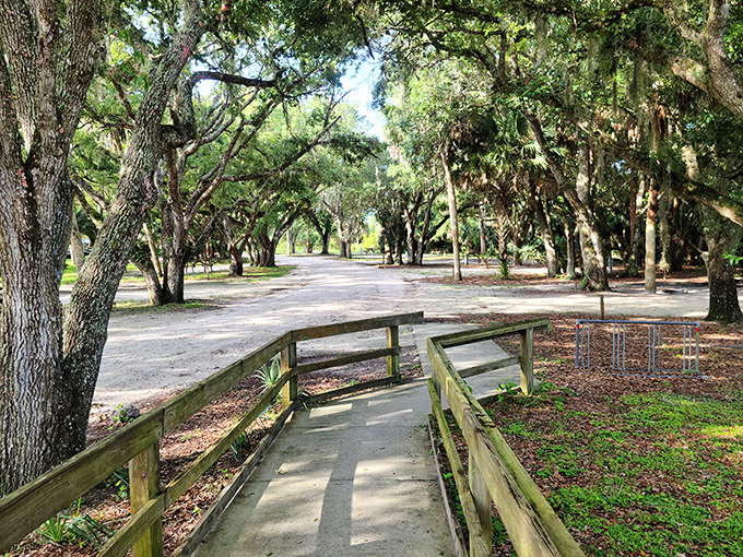 Oak-canopied pathways that feel like nature's cathedral—complete with Spanish moss as the most elegant decoration.