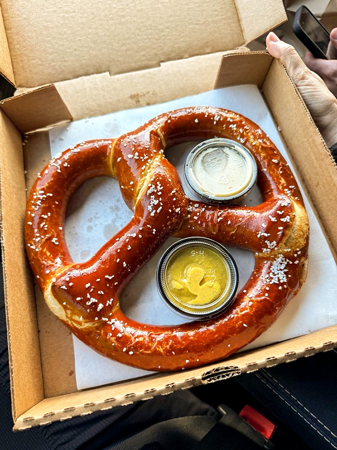 This German-style pretzel isn't playing games—it's a serious commitment to carb perfection, those salt crystals catching the light like delicious diamonds.