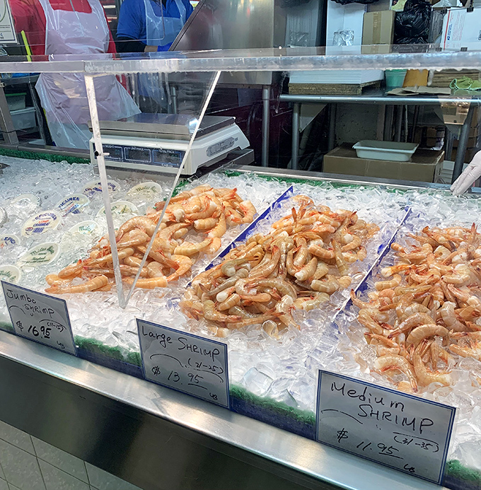 Shrimp sorted by size like a marine graduation ceremony. Jumbo, large, or medium—all destined for the same delicious fate in this seafood lover's paradise.