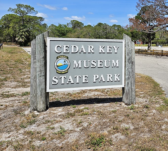 This unassuming sign marks the threshold to one of Florida's best-kept secrets – no neon required when nature provides the real show.