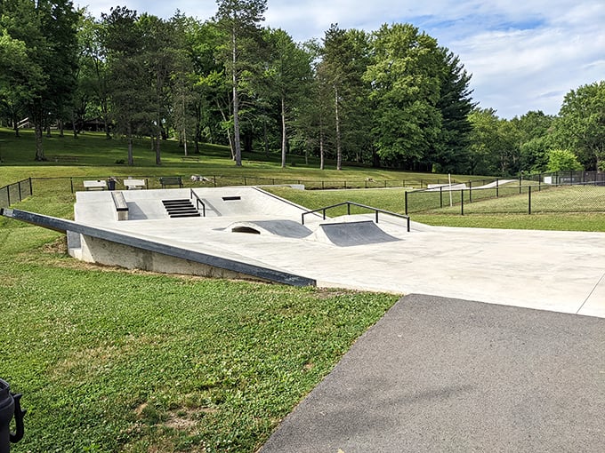 Concrete waves in a sea of green—Zelienople's skate park offers suburban thrills without a single app or subscription required.