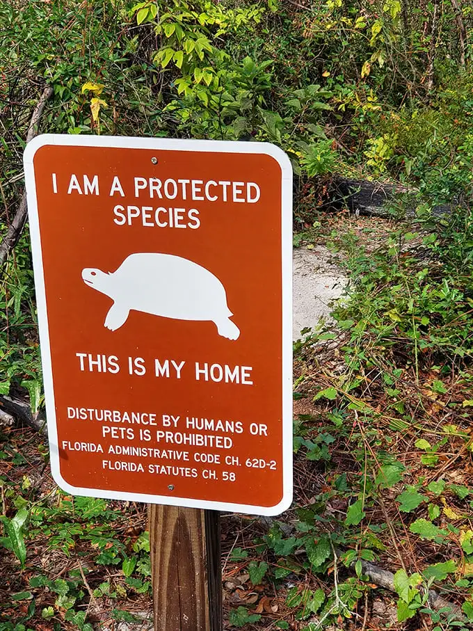 Florida's VIP residents: These gopher tortoise warning signs remind us we're merely visitors in their ancient homeland. Respect the shell!