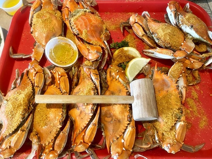 Steamed crabs arrive like edible puzzle boxes – the wooden mallet isn't just a tool, it's your ticket to sweet, succulent victory.