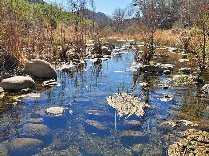 Sespe Creek's crystal waters create nature's perfect mirror, reflecting sky and mountain while providing crucial habitat for wildlife and weary hiker feet alike.