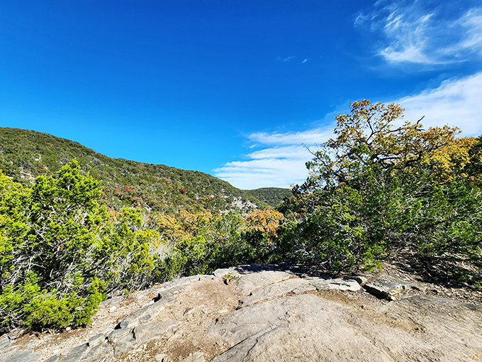 Standing here feels like you've discovered Texas' answer to the Blue Ridge Mountains—just don't tell the Appalachians.