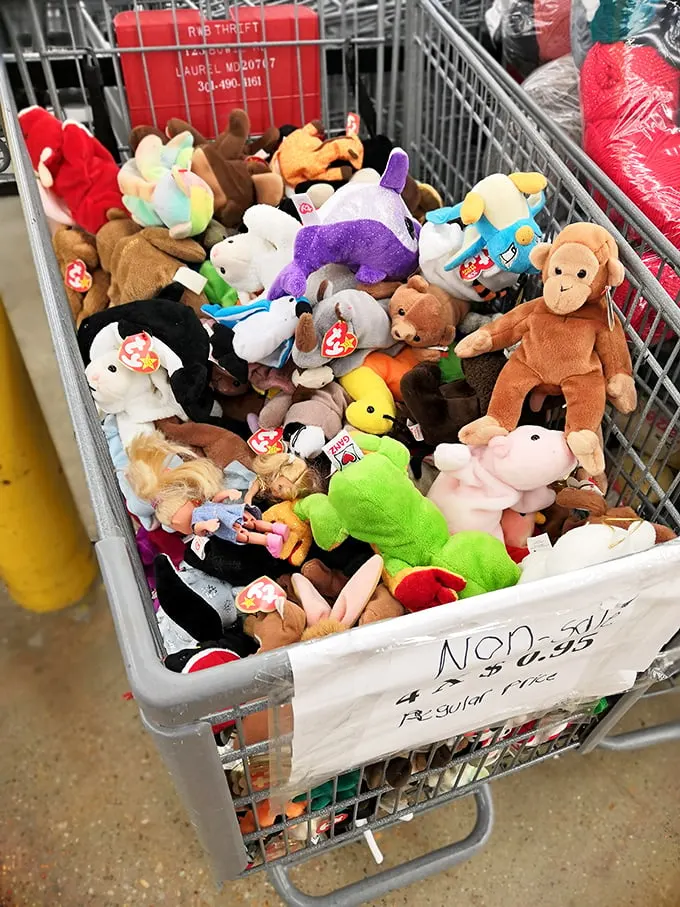 The stuffed animal bin – where childhood memories are reborn and Beanie Babies stage their comeback tour.