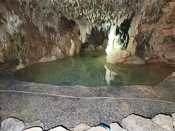 This crystal-clear pool reflects the cave ceiling perfectly – nature's mirror that's been polishing its surface since before humans invented selfies.