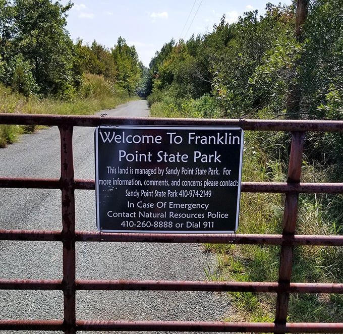The understated entrance gate – nature's version of a speakeasy door. You need to know it's here to find the treasures beyond.