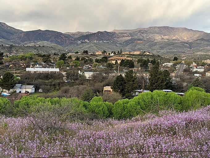 Purple wildflowers frame the view of Clarkdale's valley—Mother Nature's way of saying "welcome home" to budget-conscious retirees.