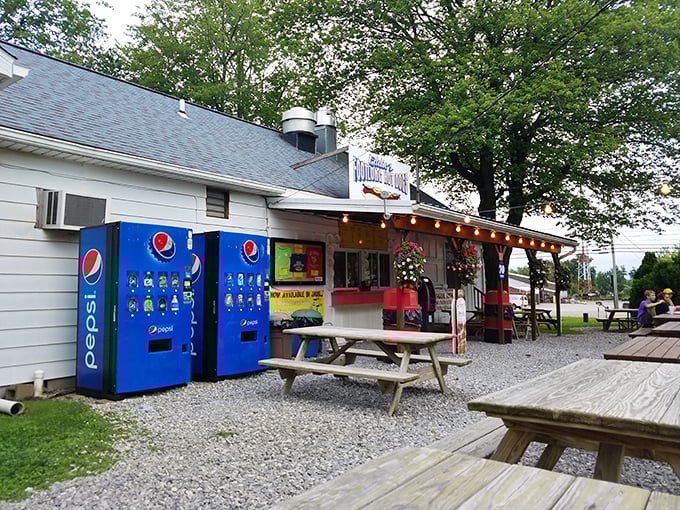 Eddie's outdoor picnic tables invite you to enjoy summer's perfect companion—a footlong hot dog under open skies.