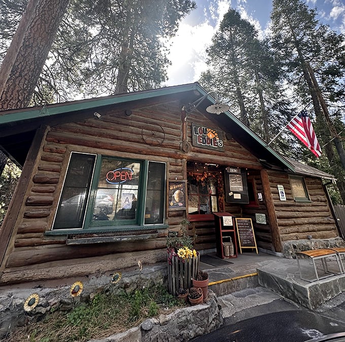 LouEddie's log cabin pizzeria looks like something from a fairy tale. High in the mountains, they're creating pizza magic among the pines.