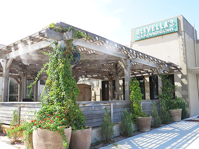 Olivella's Pizza and Wine: Vines climbing the pergola create the perfect rustic pizza atmosphere. Nature and pizza—a match made in heaven!